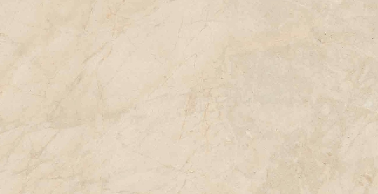 American Florim Tile Biotech Tile – 24" x 48" / Crema Stone – ArtwalkTile