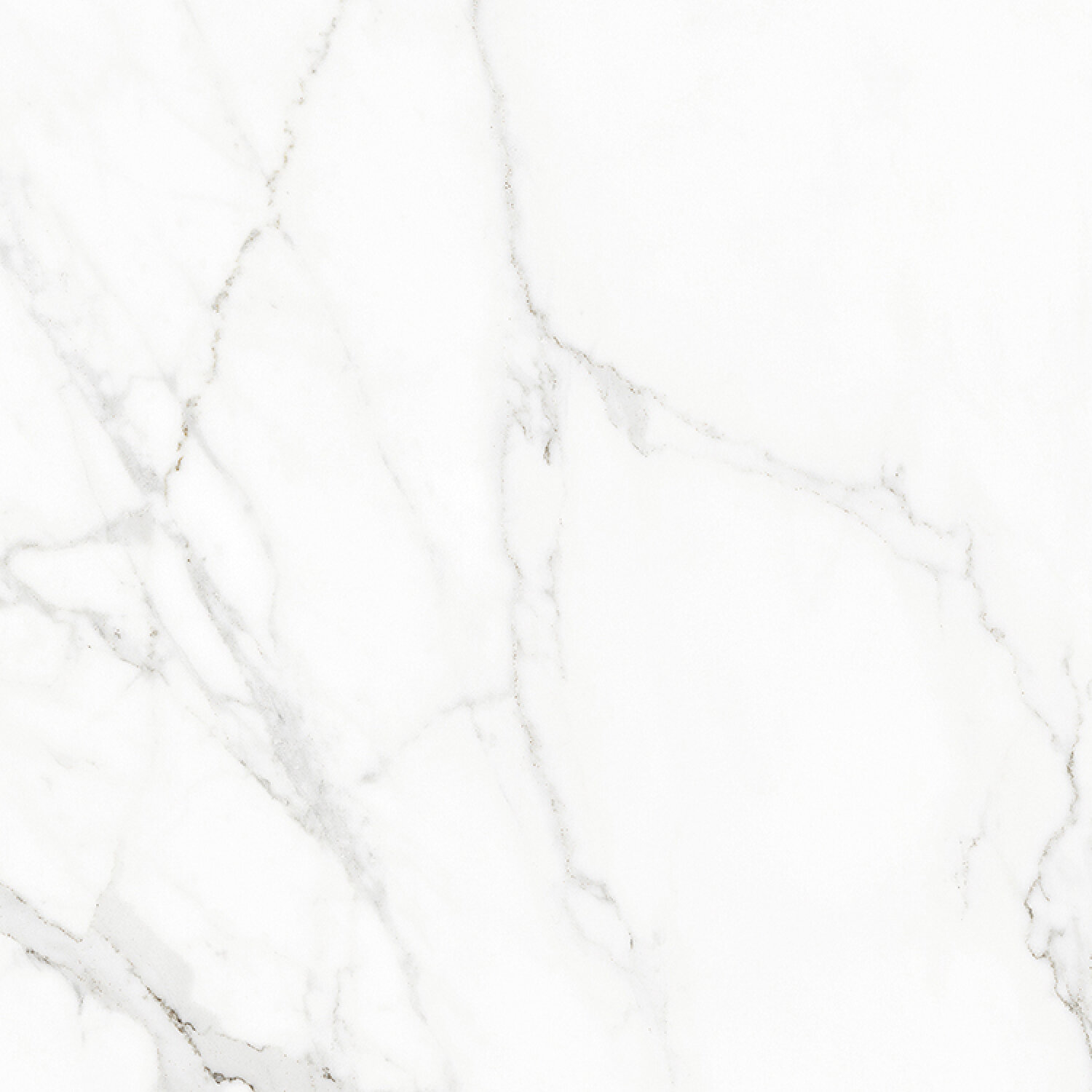 Naxos Tile - Rhapsody Marble Look Tile 24" x 48" - White Beauty